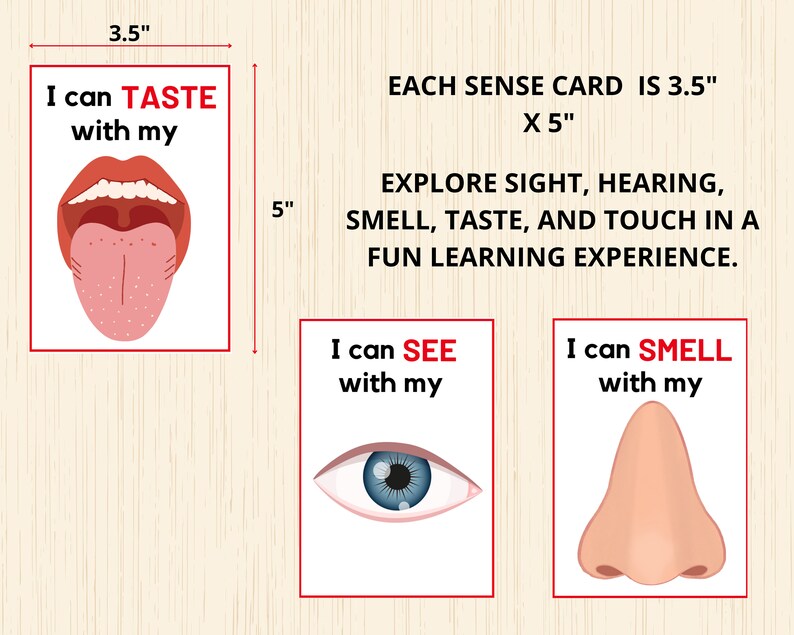 Five Senses Sorting Activity, 5 Sense Activities,5 Senses ...
