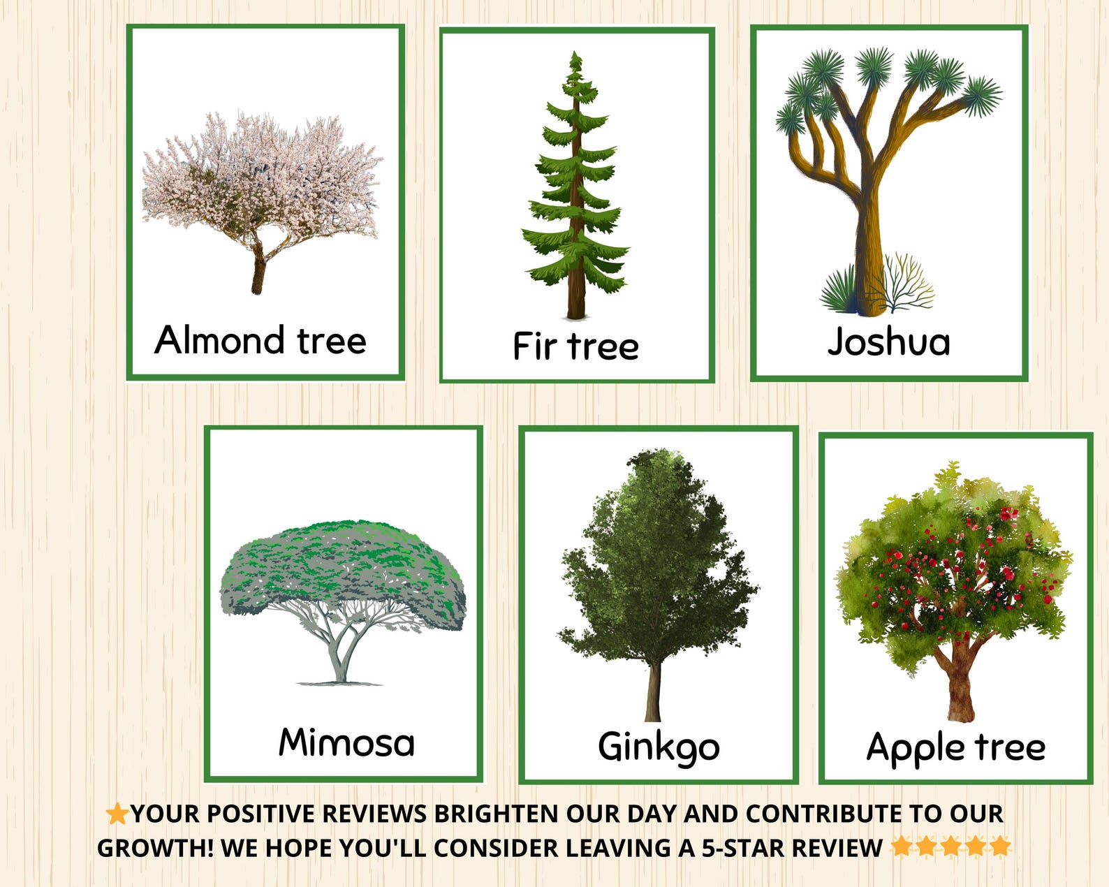 Tree Flashcards,tree Montessori Preschool,tree Unit Study,forest ...