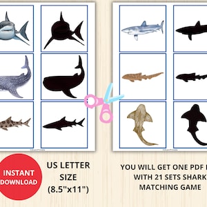 Shark Shadow Matching Game,animals Matching,animal Matching Cards,shark ...