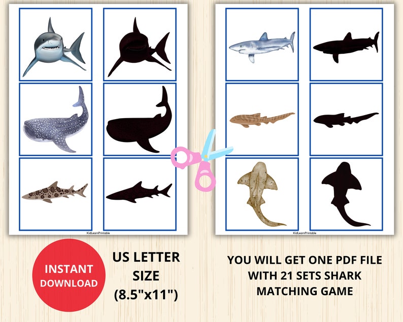 Shark Shadow Matching Game,animals Matching,animal Matching Cards,shark ...