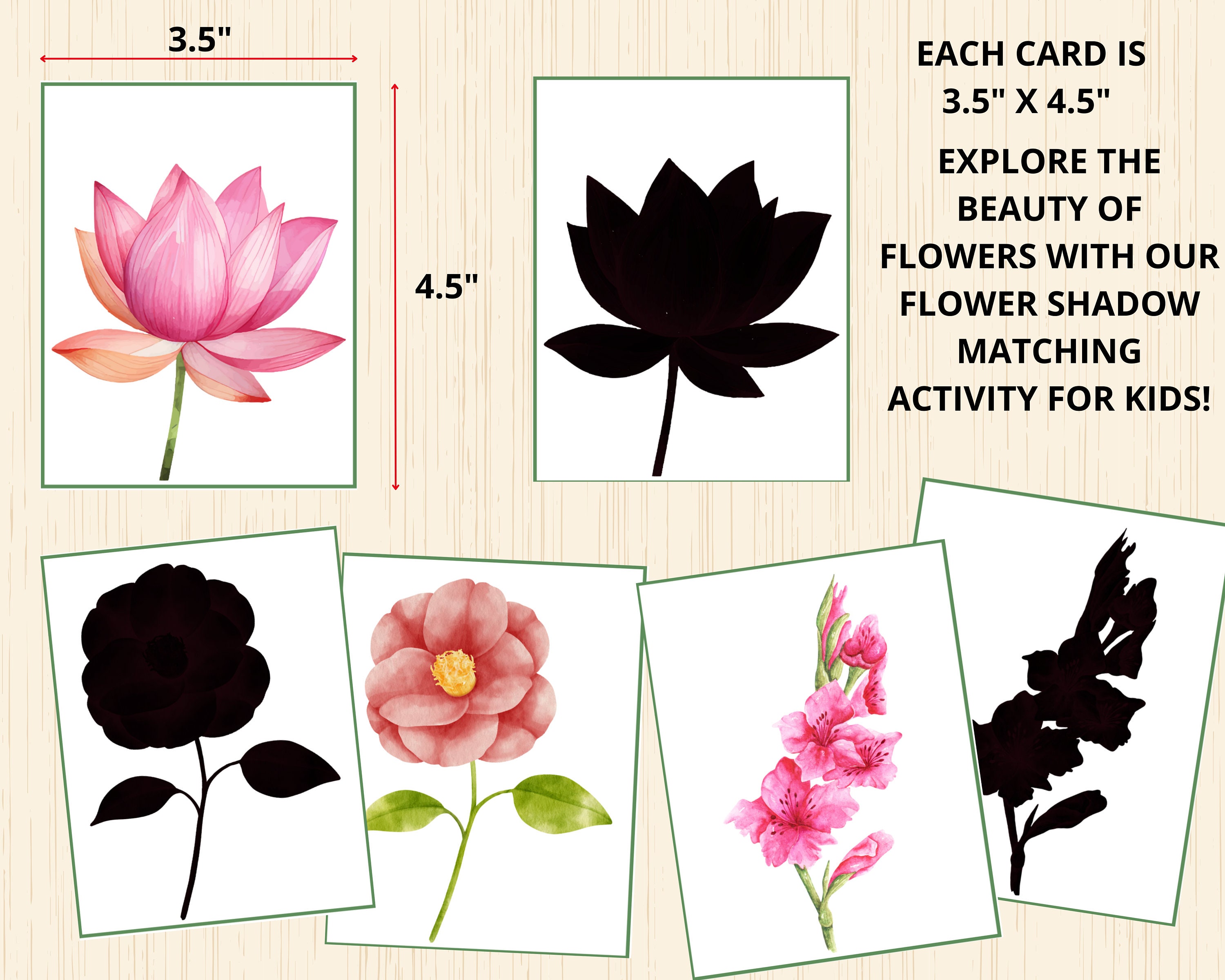 Flower Shadow Matching Card,flower Flashcards,spring Shadow,matching ...