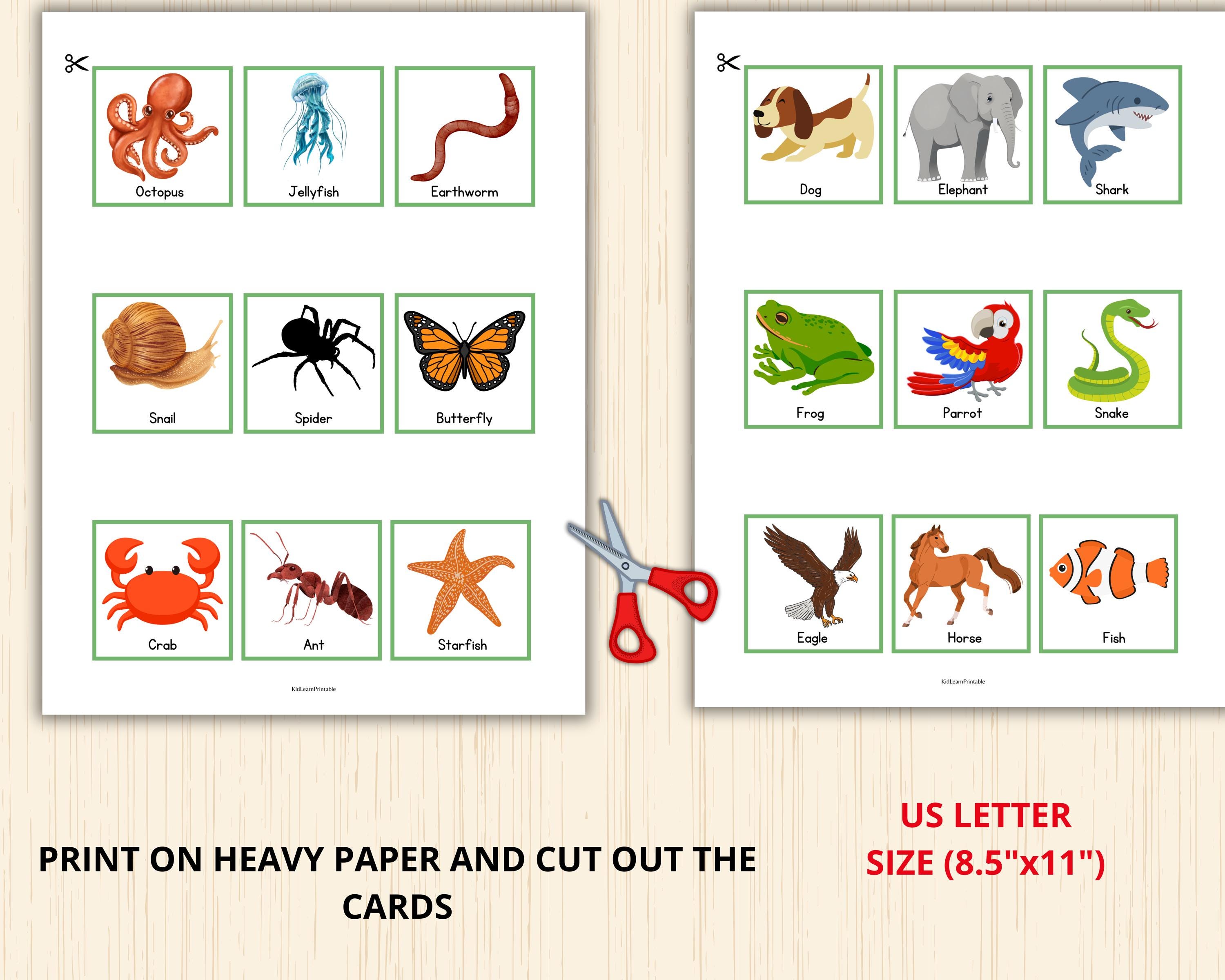 Animal Sorting Game,vertebrates and Invertebrates Sorting Cards,animal ...