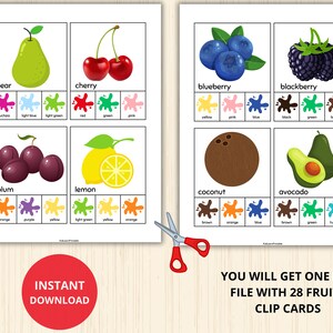 Colour Clip Card,fruit Clip Card,color Recognition Matching Activity ...