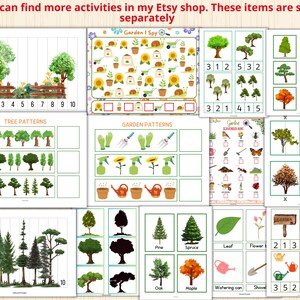 Tree Flashcards,tree Montessori Preschool,tree Unit Study,forest ...