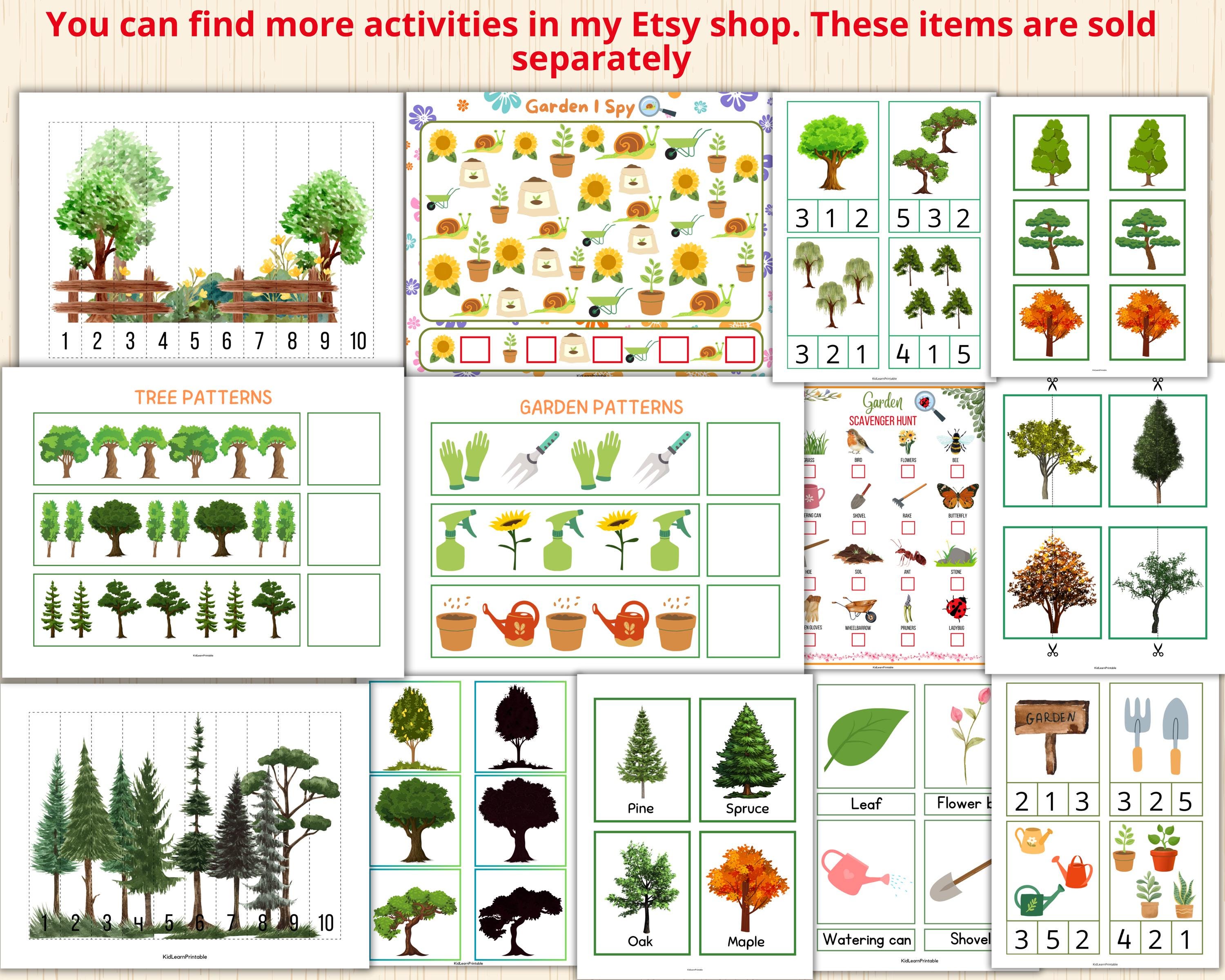 Tree Flashcards,tree Montessori Preschool,tree Unit Study,forest ...