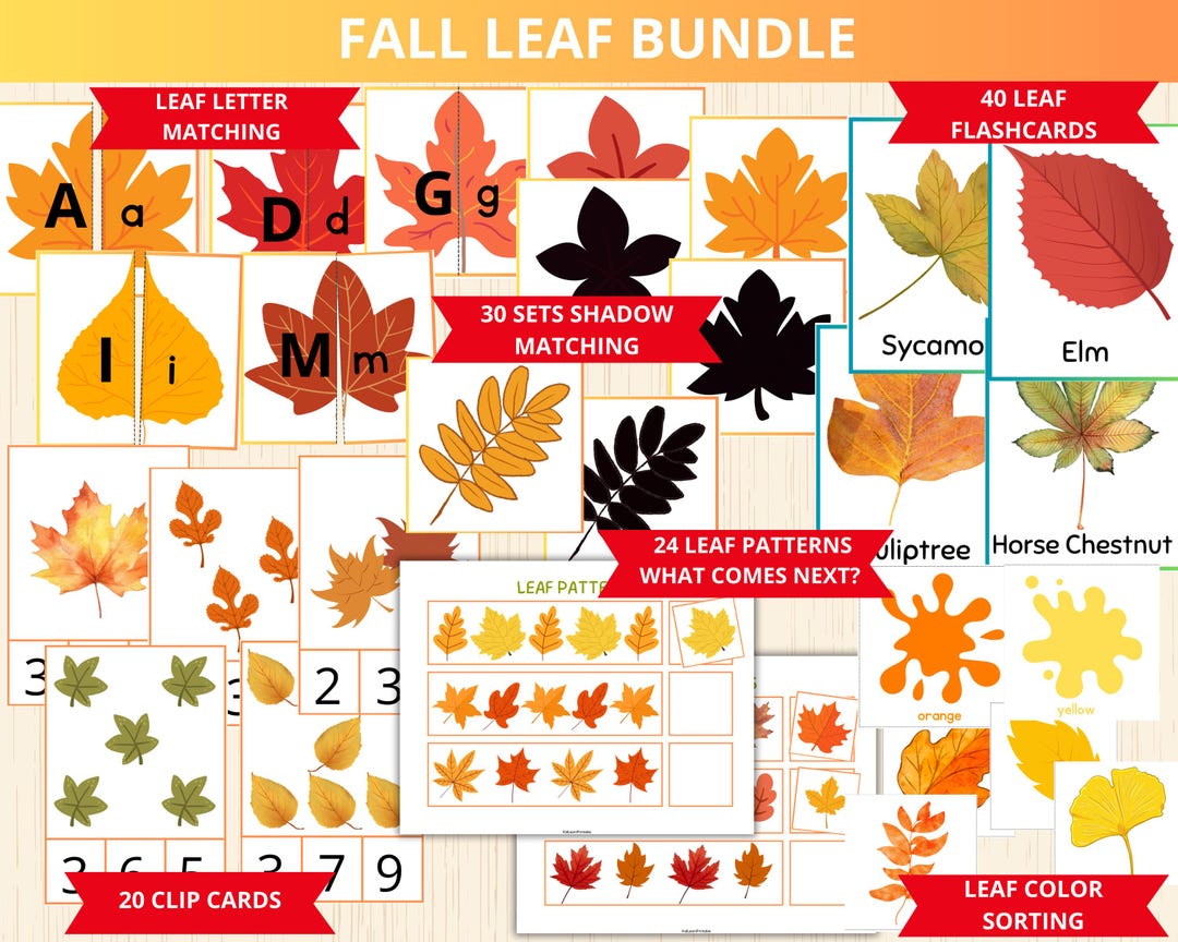 Autumn Leaf Activity Pack,leaves Unit Study,fall Unit Study Bundle,fall ...