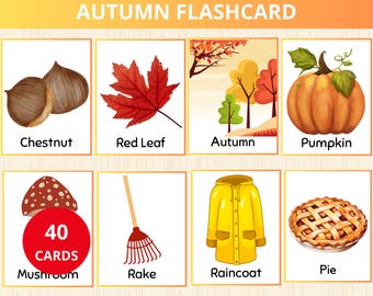 Autumn Flashcard,fall Vocabulary,nature Cards,autumn Montessori,autumn ...