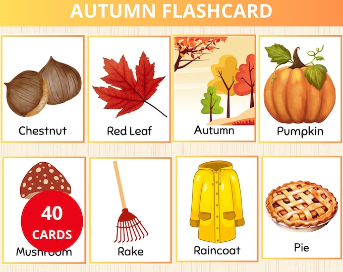 Autumn Flashcard,fall Vocabulary,nature Cards,autumn Montessori,autumn ...