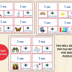 Five Senses Sorting Activity,five Senses Puzzle,5 Sense Activities,5 ...