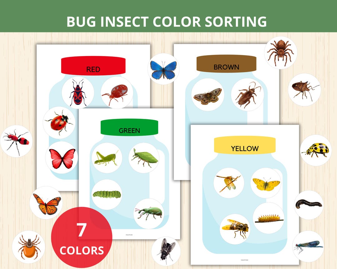 Bug Color Sorting,insect Color Matching,bug Sorting Game,insect Unit ...