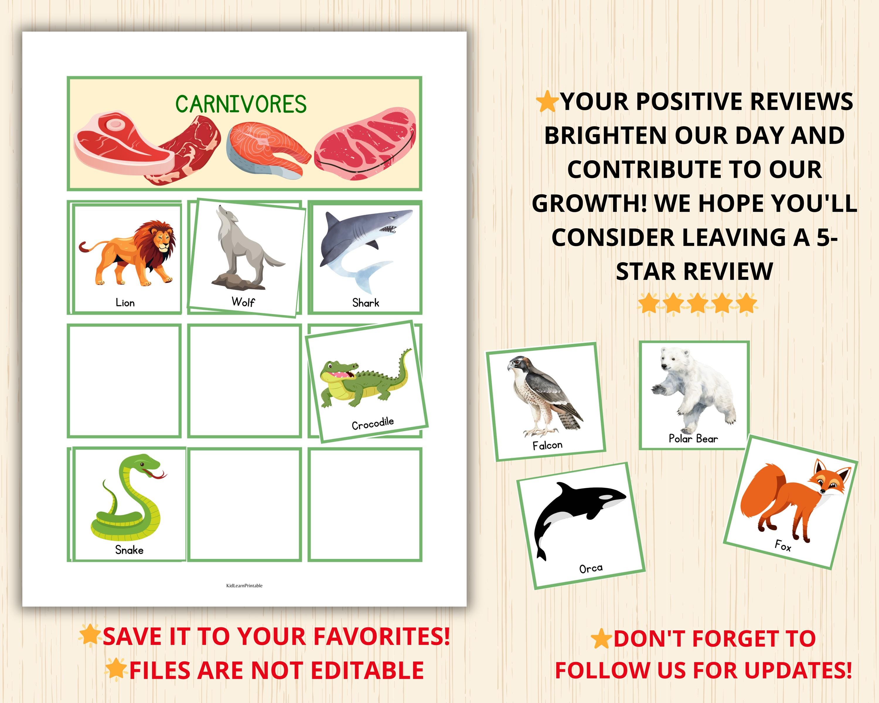Animals Sorting Activity,herbivore Carnivore Omnivore Sorting Cards ...