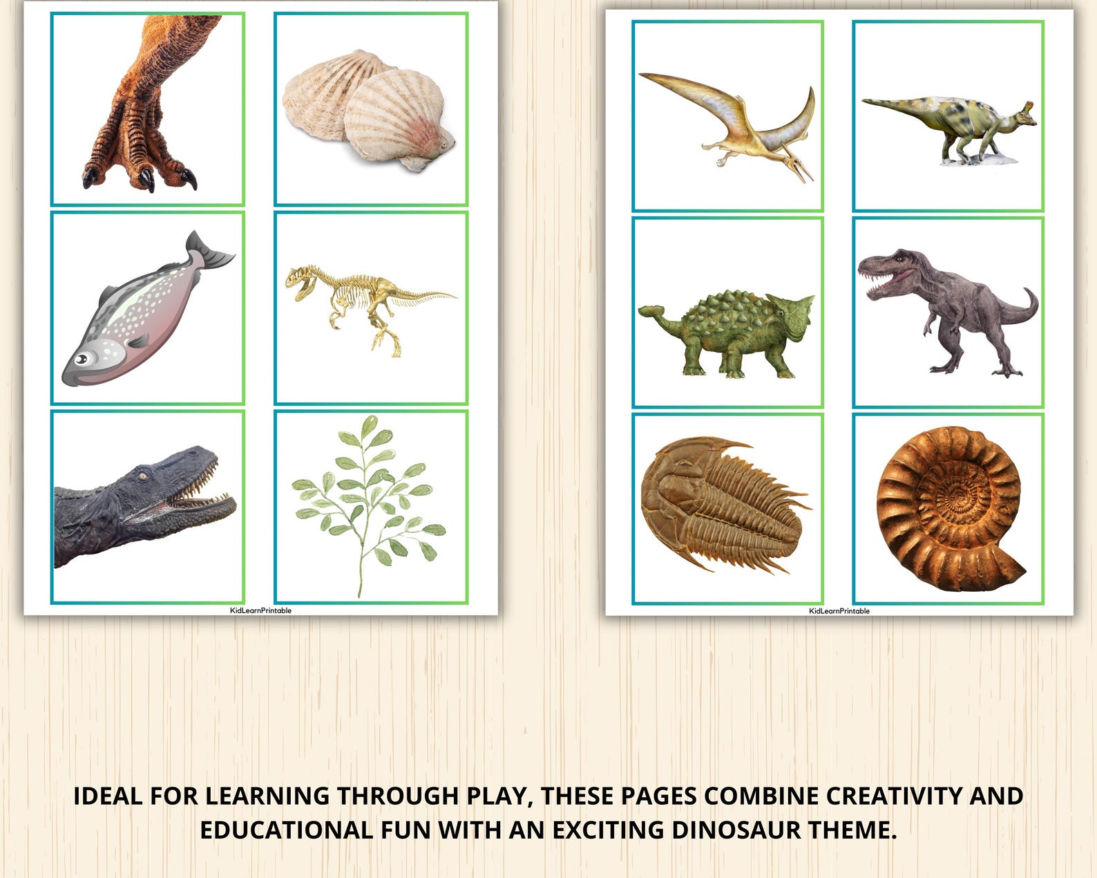 Fossil Identification Card,dinosaur Fossil,prehistoric Fossils,fossil ...