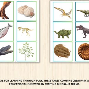 Fossil Identification Card,dinosaur Fossil,prehistoric Fossils,fossil ...