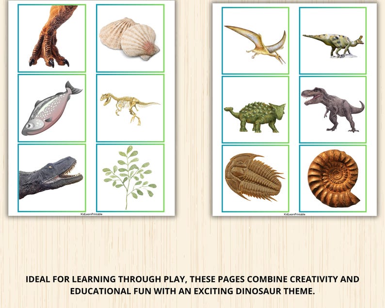 Fossil Identification Card,dinosaur Fossil,prehistoric Fossils,fossil ...