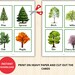Tree Flashcards,tree Montessori Preschool,tree Unit Study,forest ...