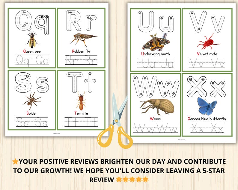 Bug Alphabet Tracing Cards,insect Letter Tracing,bug Alphabet Worksheet ...