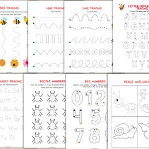 Insects Activity Book,insect Bundle,insect Unit Study,bugs Activity ...