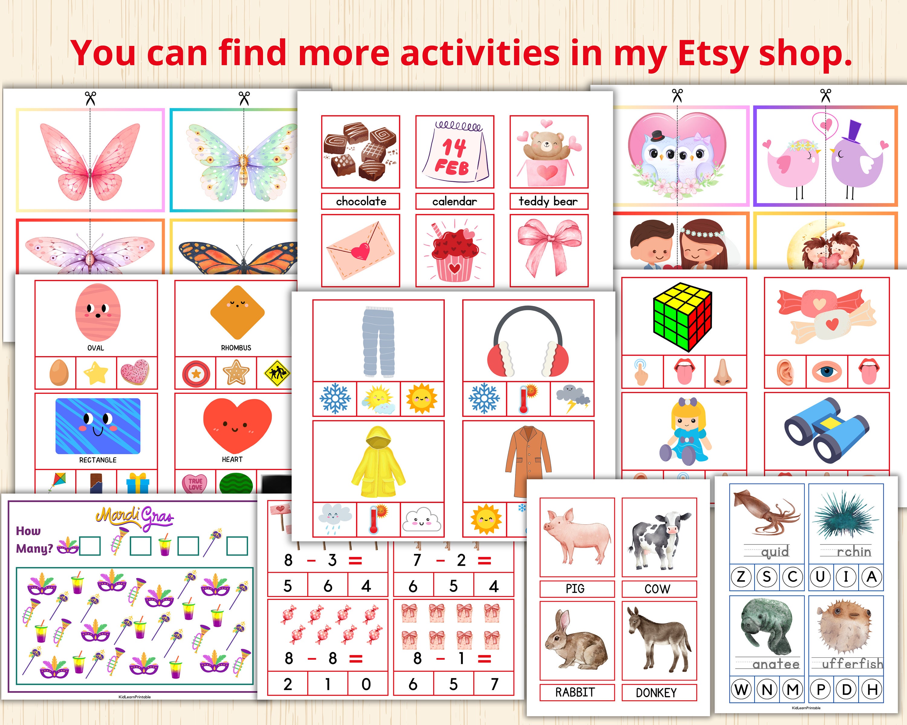 Insect Shadow Matching Cards,bug Shadow Matching, Preschool Insects ...