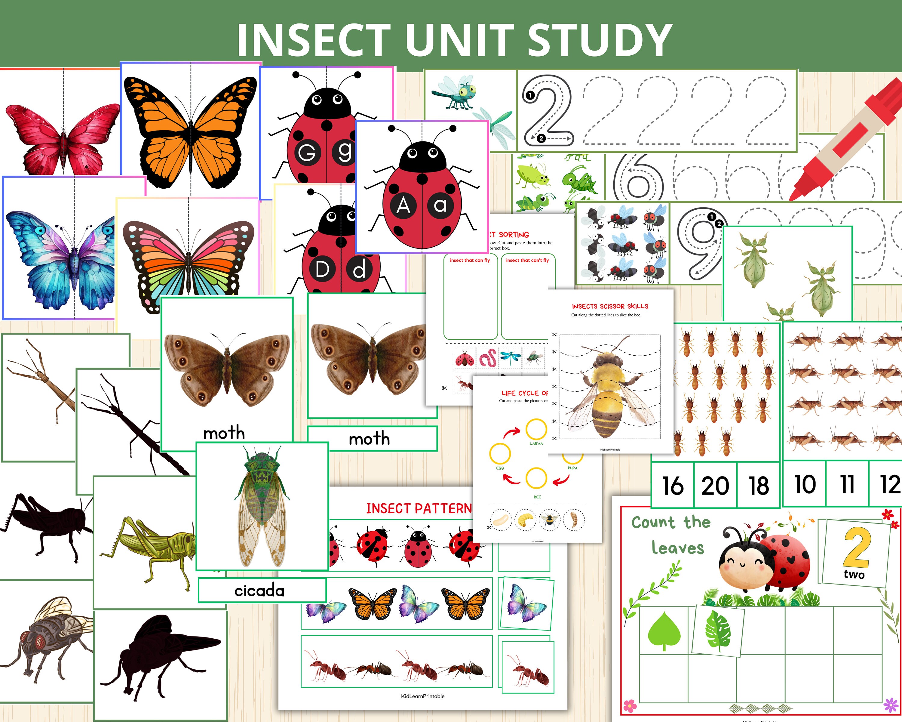 Insect Unit Study,preschool Curriculum,insect Bundle,insect Montessori ...