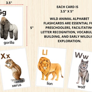 Wild Animals Flashcards,jungle Animals Alphabet,wild Animals Vocabulary ...