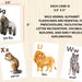 Wild Animals Flashcards,jungle Animals Alphabet,wild Animals Vocabulary ...