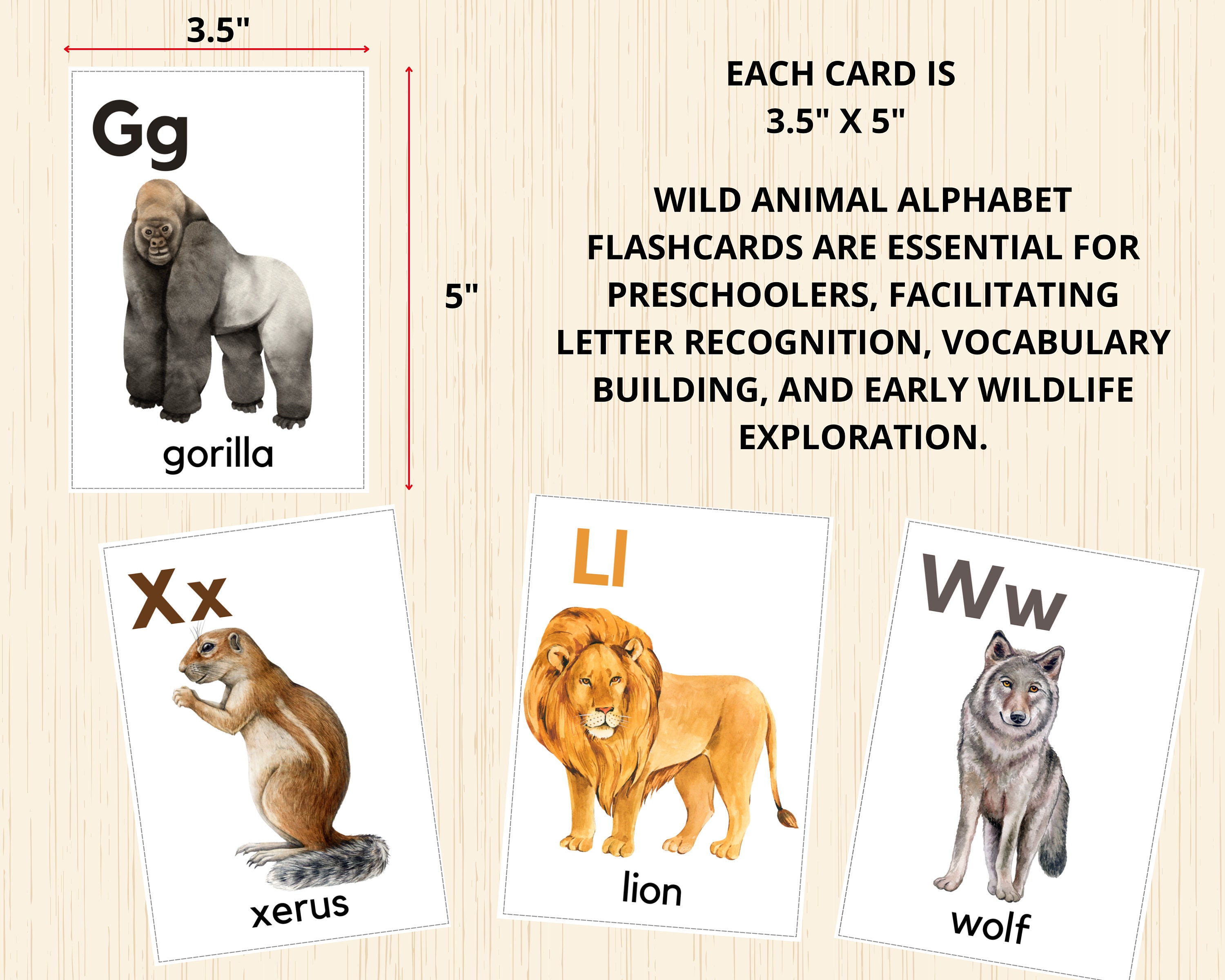 Wild Animals, Jungle Alphabet, Wild Animals Vocabulary,zoo Animals ...
