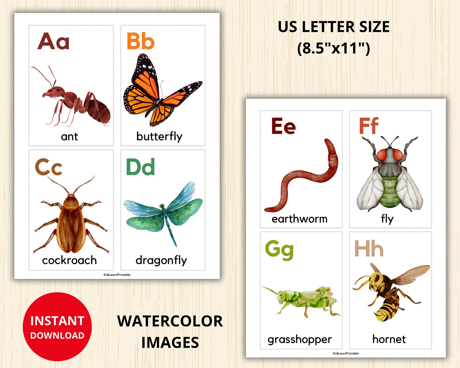 Insect Flashcards, Bug Alphabet,insect Alphabet Cards, Alphabet Flash ...