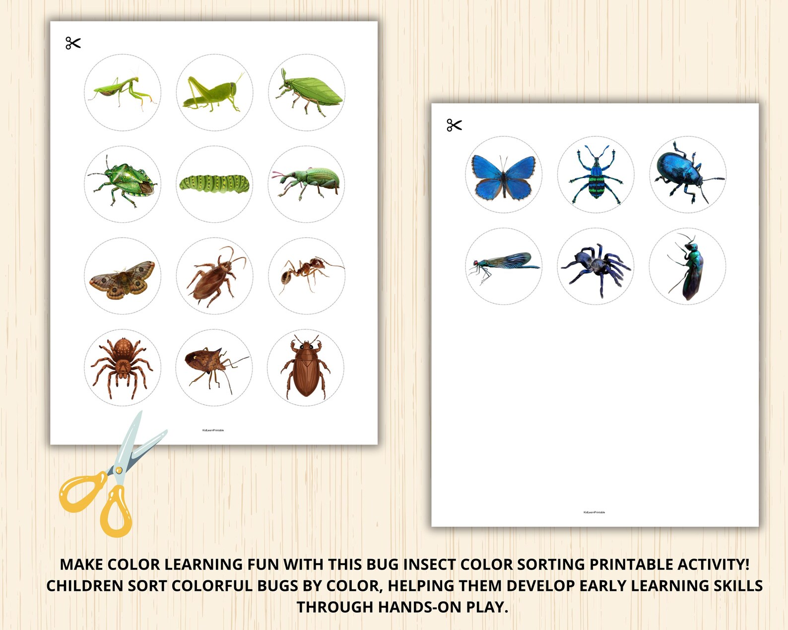 Bug Color Sorting,insect Color Matching,bug Sorting Game,insect Unit ...