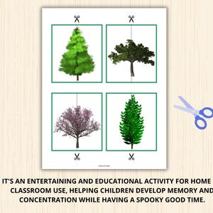 Tree Matching,tree Puzzle,trees Halves Matching,nature Preschool,spring ...