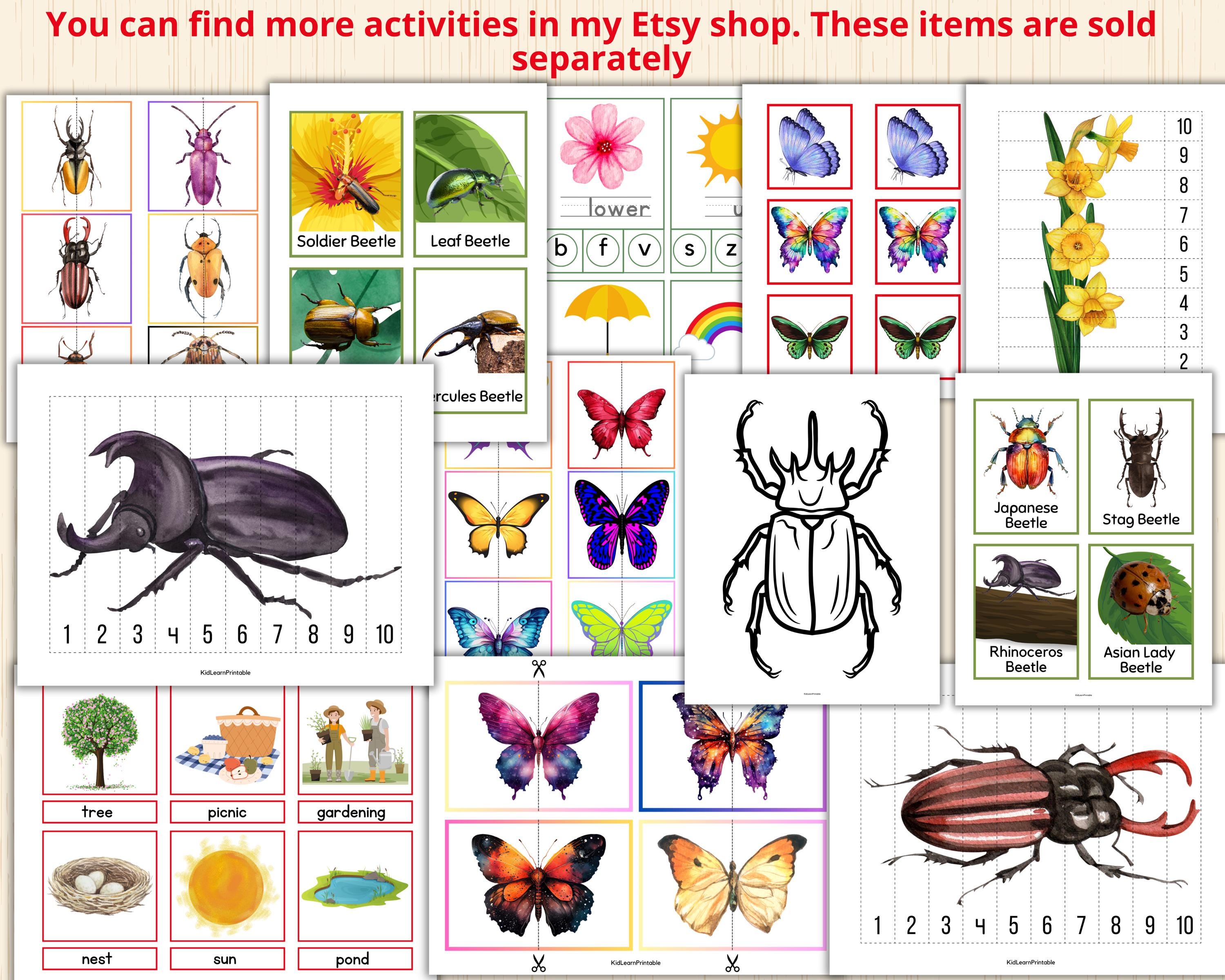 Beetles Coloring Pages,beetle Coloring Sheets,beetle Unit Study,insects ...