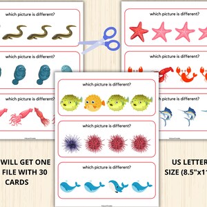 Find the Odd One Out,ocean Animals Activity,matching Similar and ...