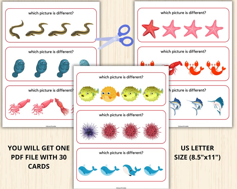 Find the Odd One Out,ocean Animals Activity,matching Similar and ...