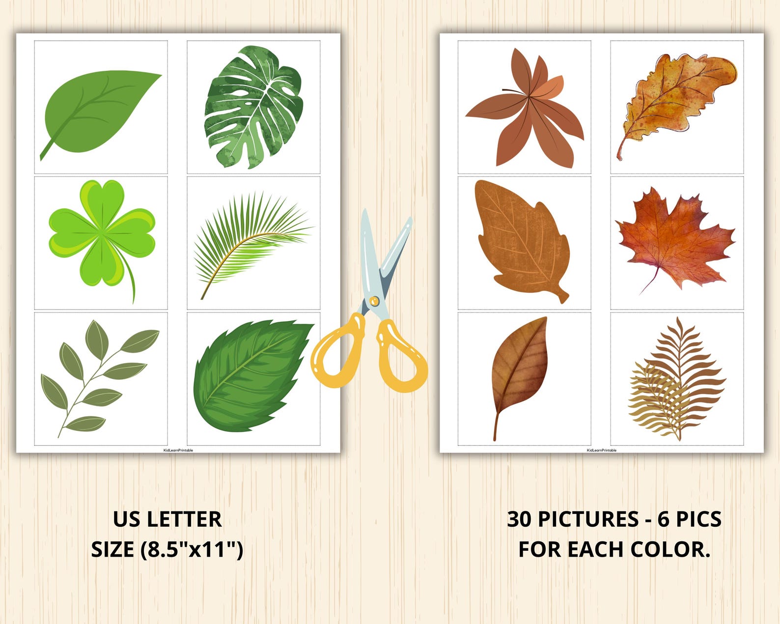 Autumn Color Sorting Activity,color Matching Game,autumn Leaves Colour ...