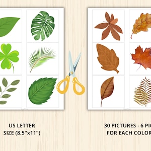 Autumn Color Sorting Activity,color Matching Game,autumn Leaves Colour ...