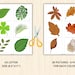 Autumn Color Sorting Activity,color Matching Game,autumn Leaves Colour ...