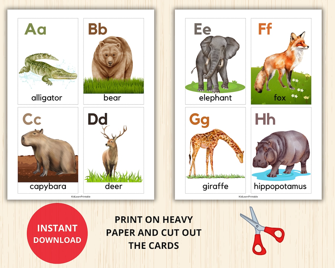 Zoo Animal Alphabet Cards,animals Flashcards,animals Montessori,safari ...