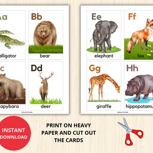 Zoo Animal Alphabet Cards,animals Flashcards,animals Montessori,safari ...
