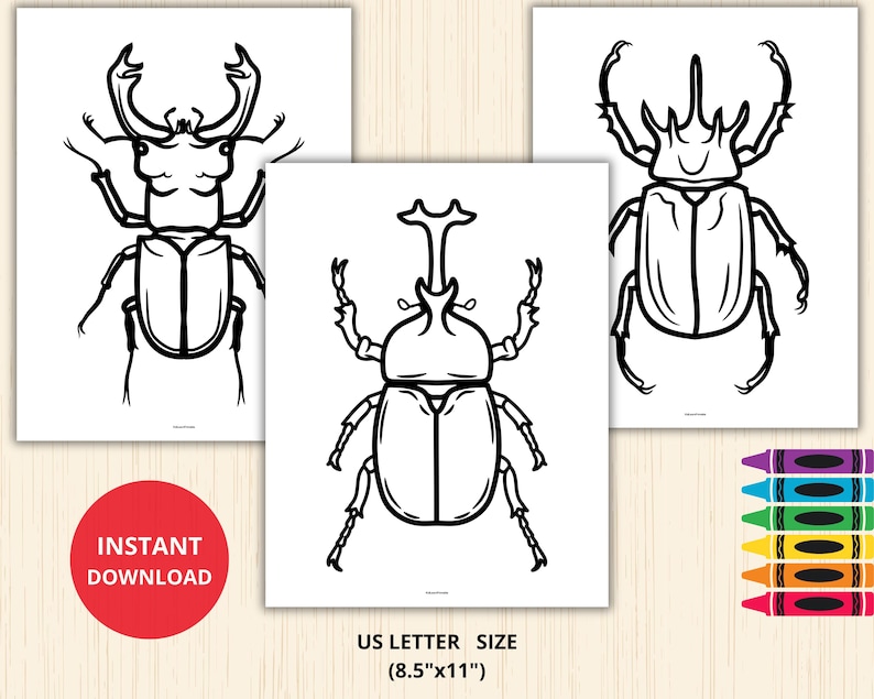 Beetles Coloring Pages,beetle Coloring Sheets,beetle Unit Study,insects ...