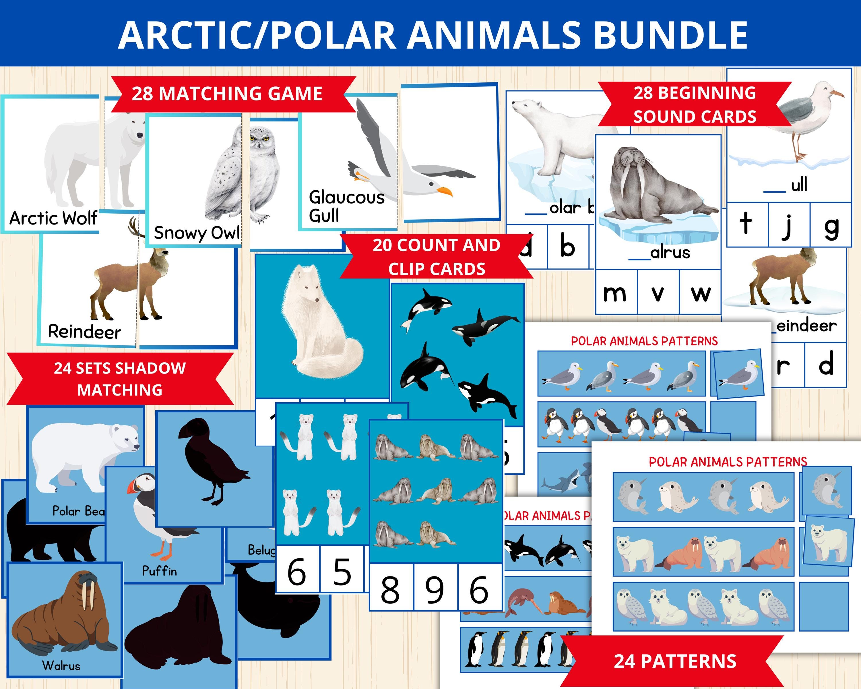 Arctic Animals Bundle,polar Animals Preschool Activity,arctic Animal ...