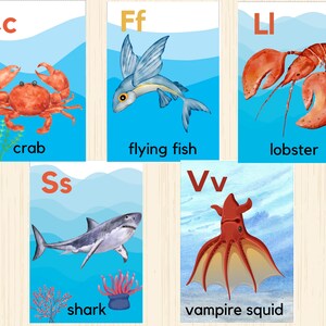 Ocean Alphabet Cards,ocean Animal Flash Cards,montessori,world Ocean ...