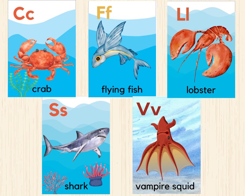 Ocean Alphabet Cards,ocean Animal Flash Cards,montessori,world Ocean ...