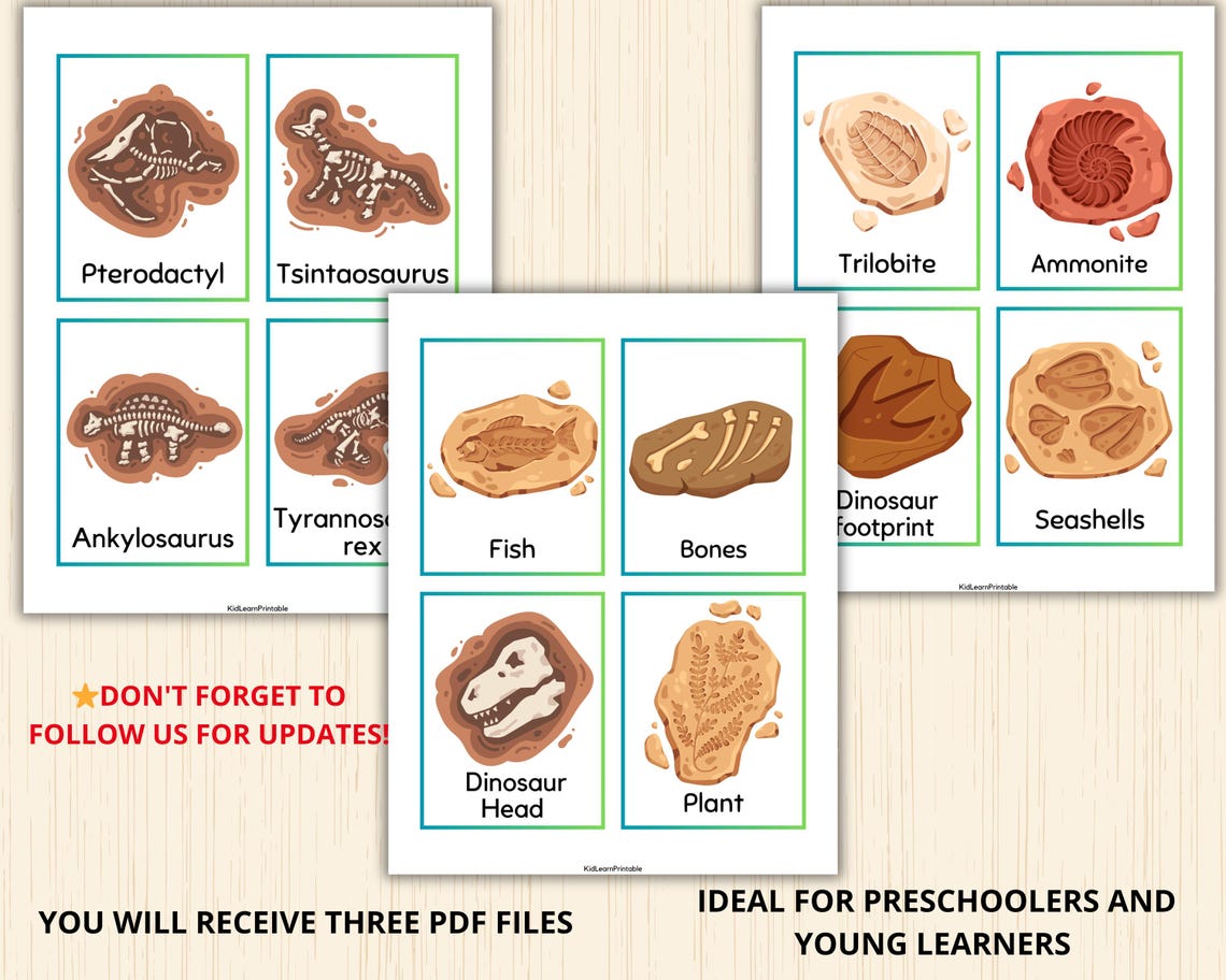 Fossil Identification Card,dinosaur Fossil,prehistoric Fossils,fossil ...