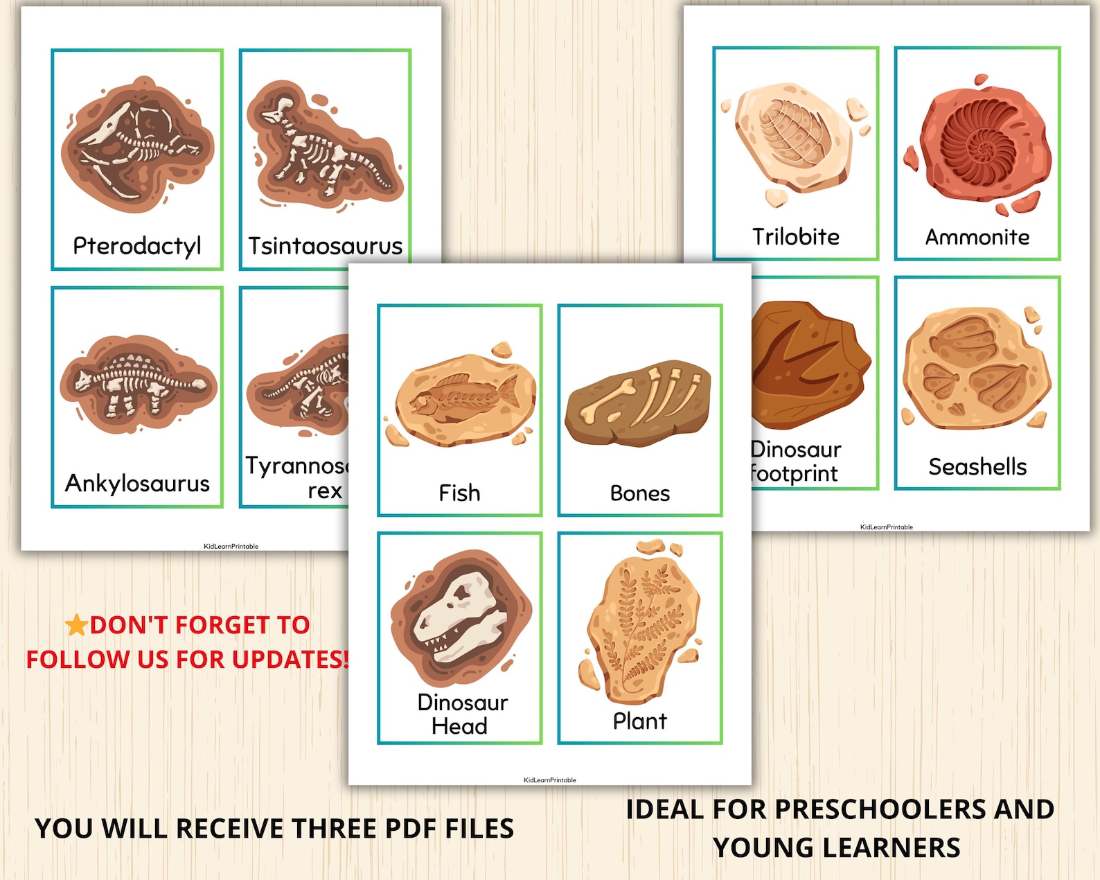 Fossil Identification Card,dinosaur Fossil,prehistoric Fossils,fossil ...