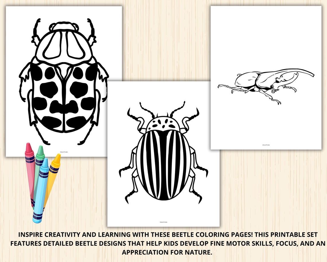 Beetles Coloring Pages,beetle Coloring Sheets,beetle Unit Study,insects ...