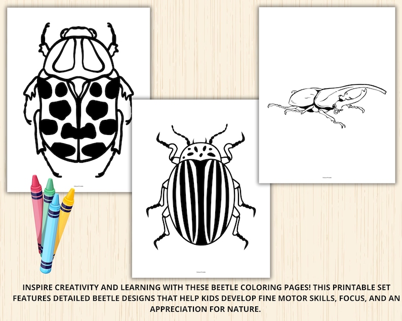 Beetles Coloring Pages,beetle Coloring Sheets,beetle Unit Study,insects ...