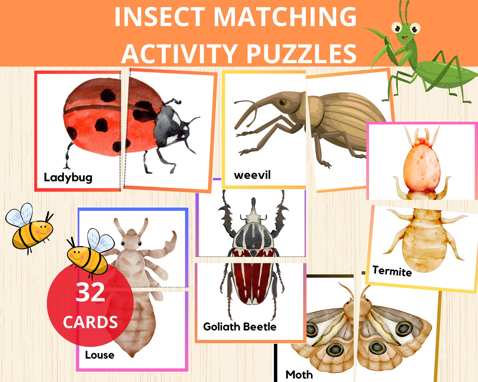 Insect Matching Activity, Insect Puzzles, Insect Symmetry, Bug Matching ...