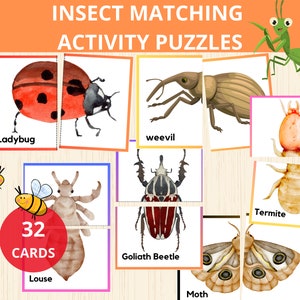 Insect Matching Activity, Insect Puzzles, Insect Symmetry, Bug Matching ...