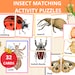 Insect Matching Activity, Insect Puzzles, Insect Symmetry, Bug Matching ...