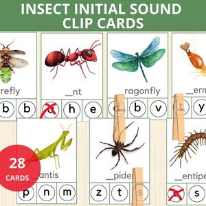 Pill Bug Phonics Preschool - Etsy