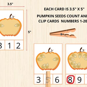 Pumpkin Seed Count and Clip Cards,pumpkin Counting Clip,kids Fall ...